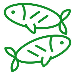 Rodyna Shop Slavic & Baltic Food | Rodyna Shop