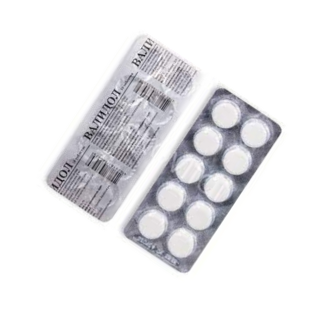 Validol 10 Tablets | Rodyna Shop